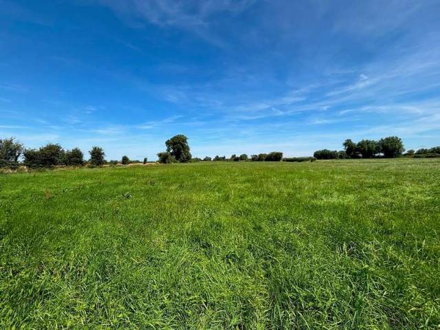 Farm Land Commercial