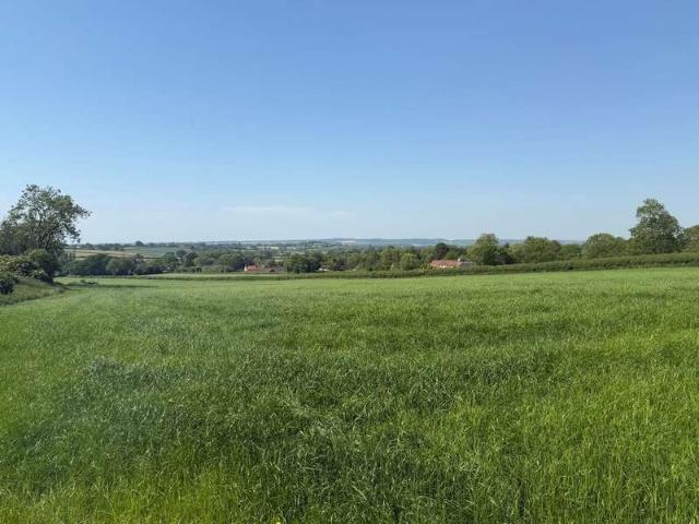 Farm Land Commercial