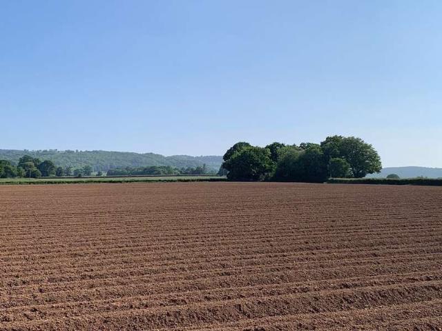 Farm Land Commercial