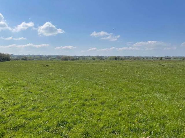 Farm Land Commercial
