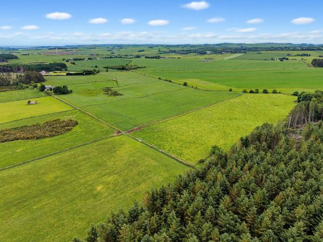Farm land for sale