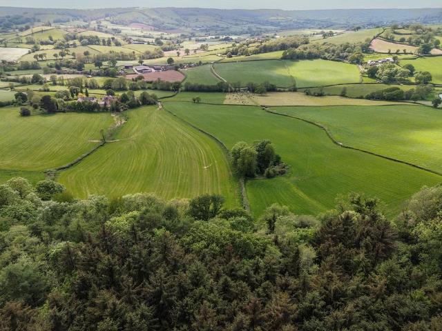 Farm land for sale