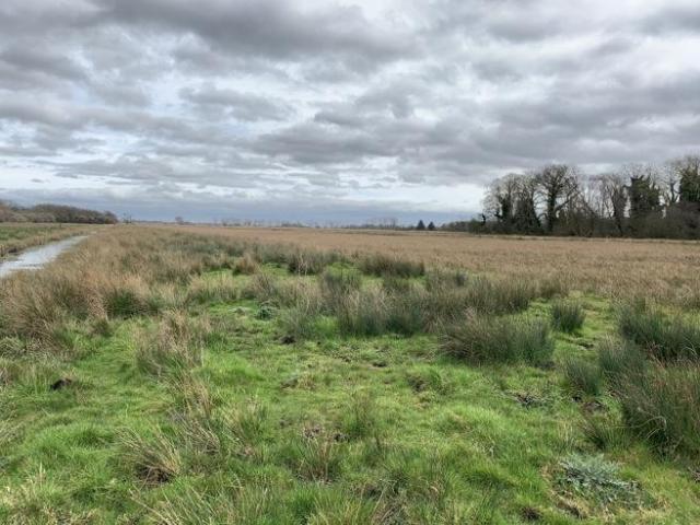 Farm land for sale