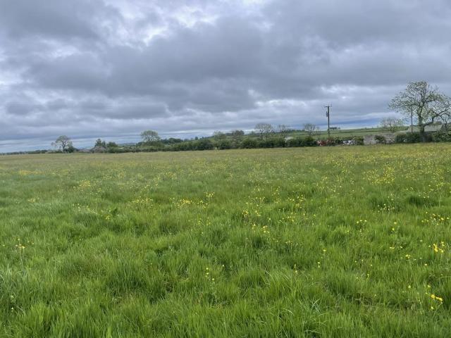 Farm land for sale