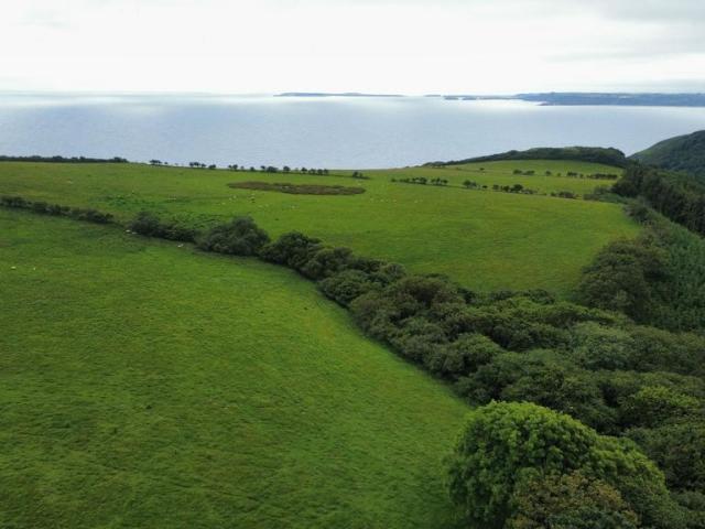 Farm land for sale