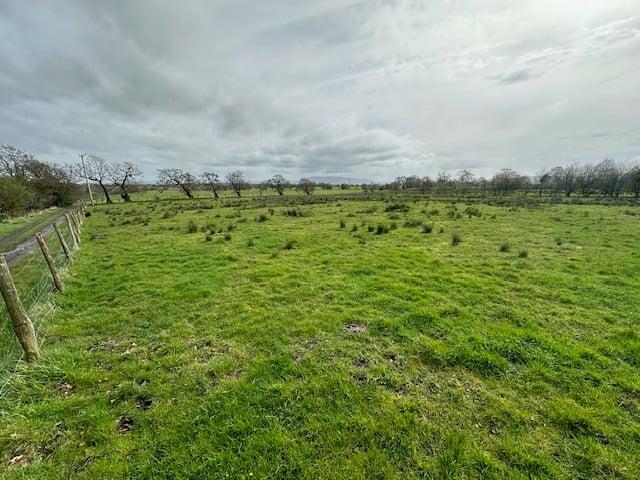 Farm land for sale