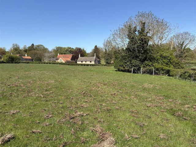 Farm land for sale