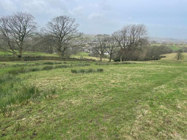 Farm land for sale