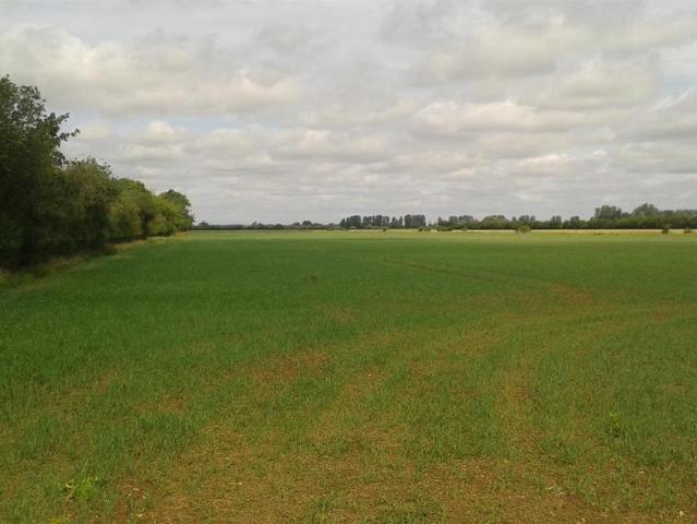 Farm land for sale