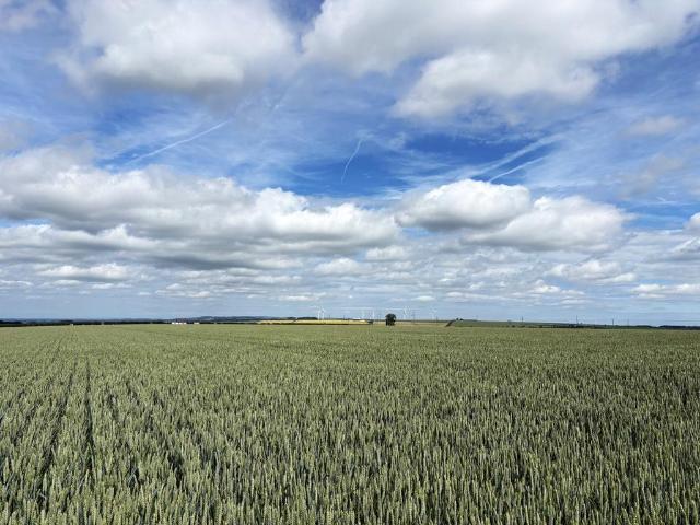 Farm land for sale