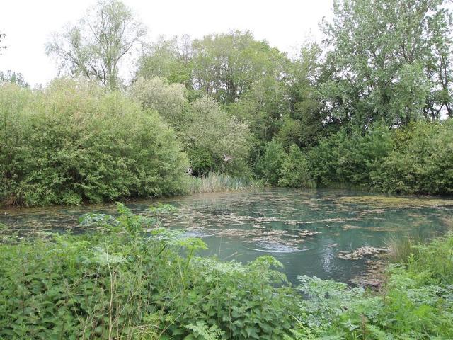 Farm land for sale