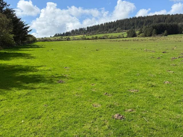 Farm land for sale