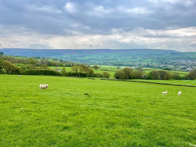 Farm land for sale