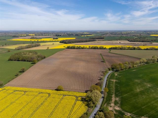 Farm land for sale