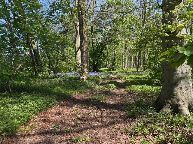 Farm land for sale