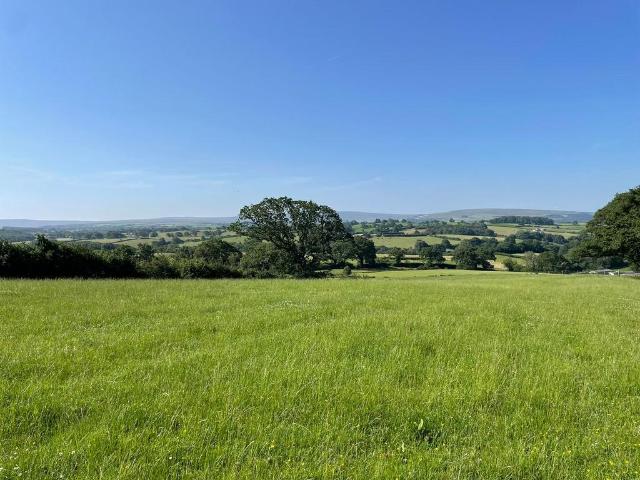 Farm land for sale