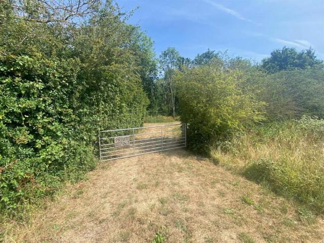 Farm land for sale