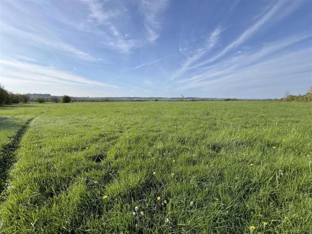 Farm land for sale