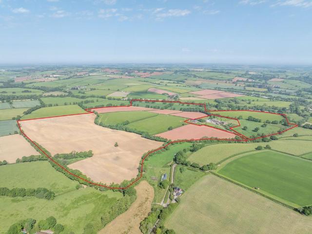 Farm land for sale