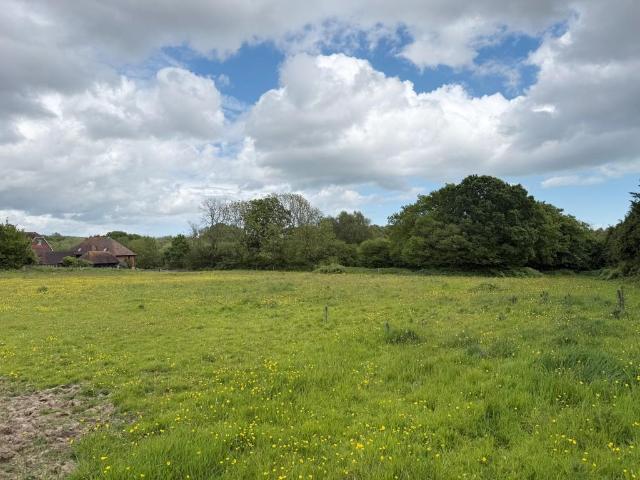 Farm land for sale
