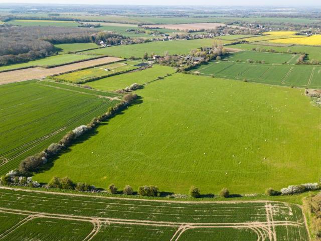Farm land for sale