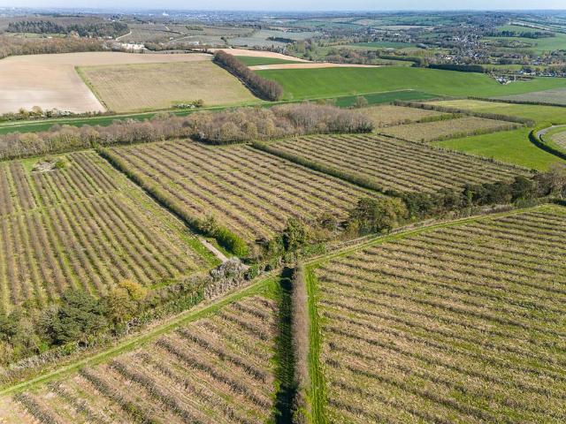Farm land for sale