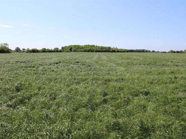 Farm land for sale