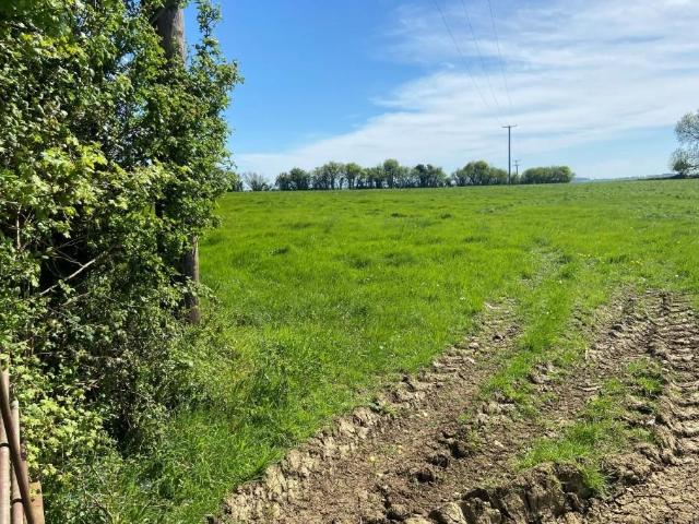 Farm land for sale