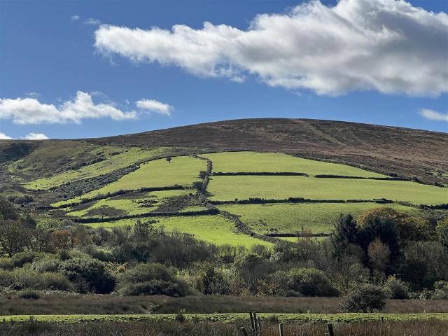 Farm land for sale