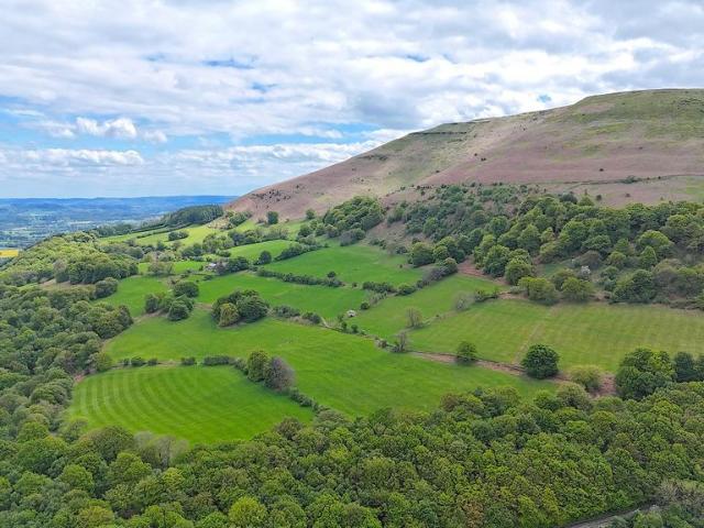 Farm land for sale