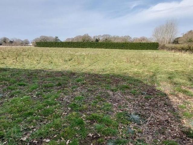 Farm land for sale