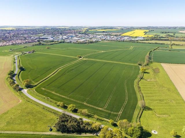 Farm land for sale