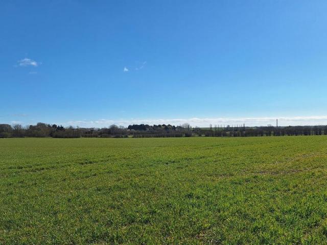 Farm land for sale