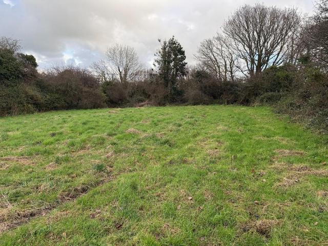 Farm land for sale
