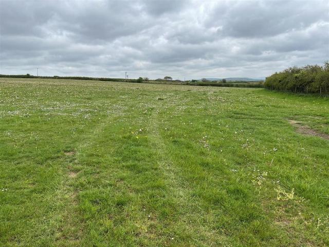 Farm land for sale