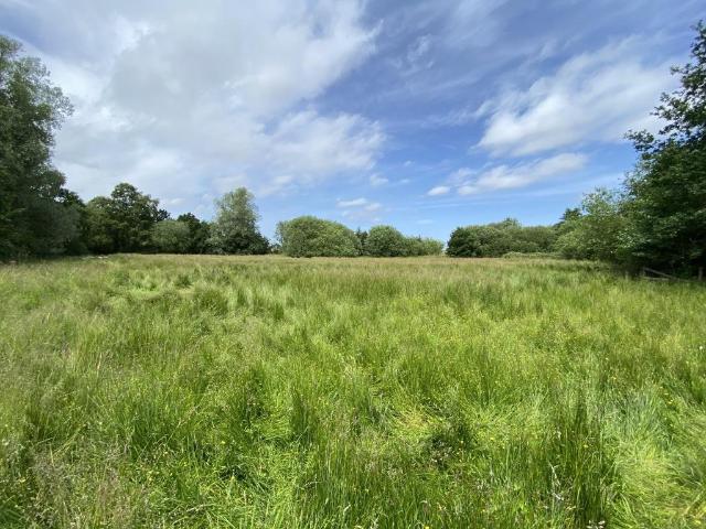 Farm land for sale