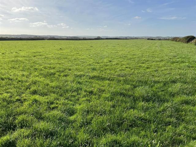 Farm land for sale