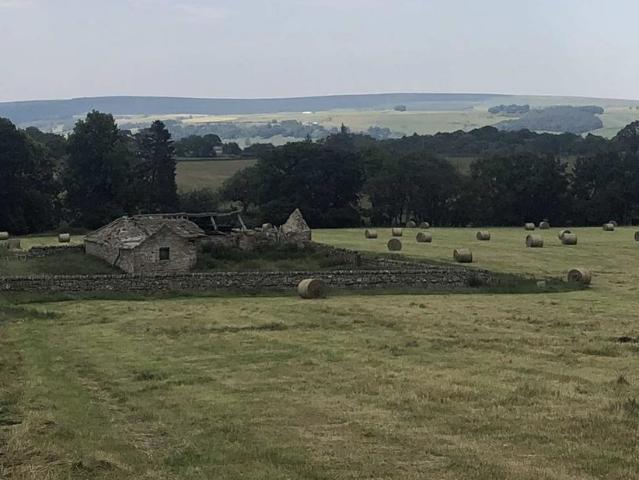 Farm land for sale