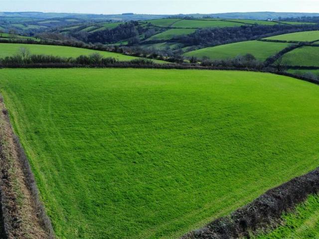 Farm land for sale