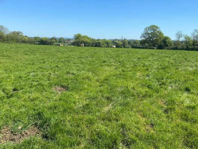 Farm land for sale