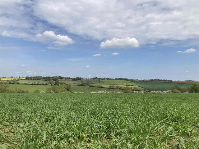Farm land for sale