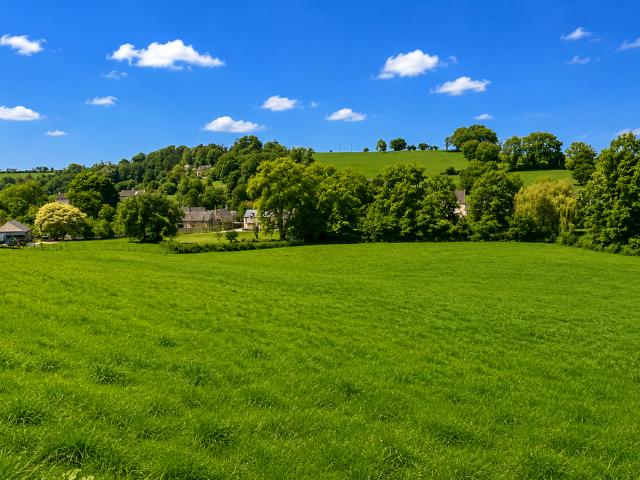 Farm land for sale