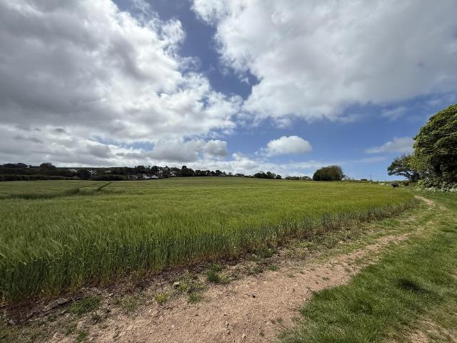 Farm land for sale