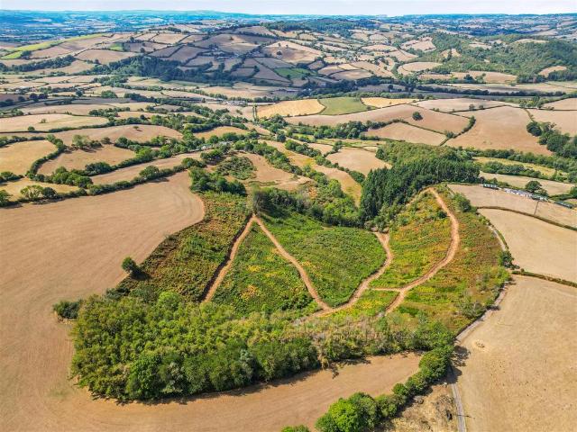 Farm land for sale
