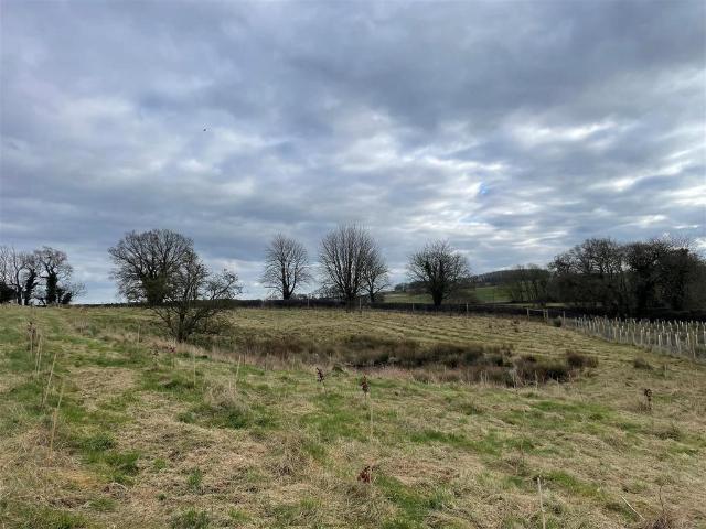 Farm land for sale