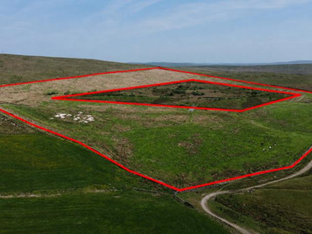 Farm land for sale