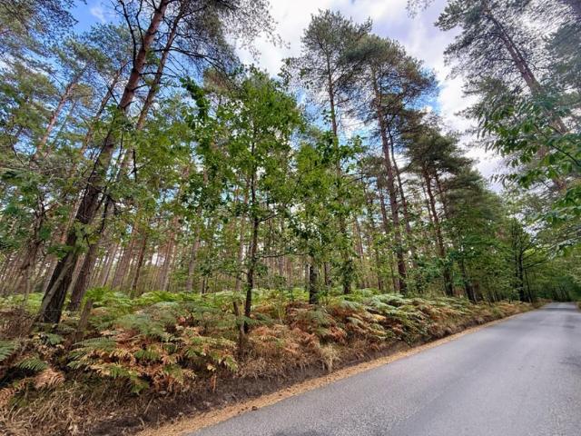 Farm land for sale