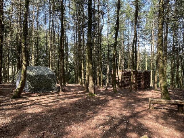 Farm land for sale