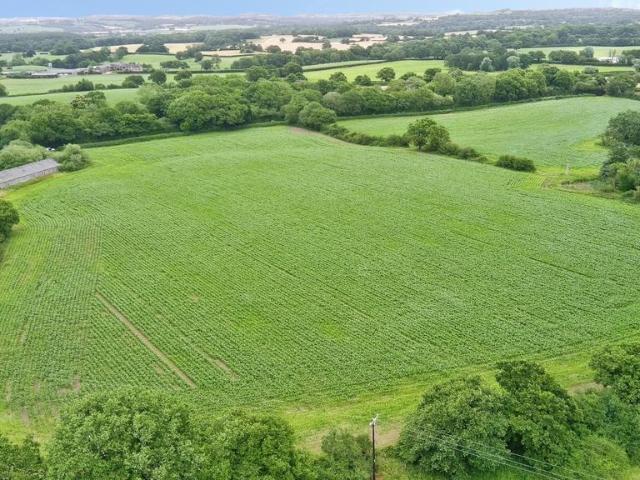 Farm land for sale
