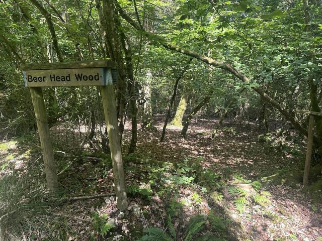 Farm land for sale